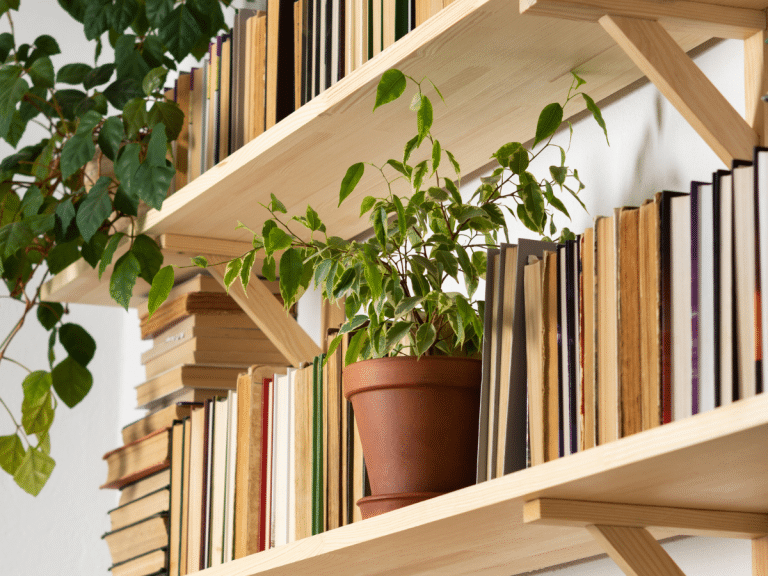 Estantes Creativos De Madera DIY